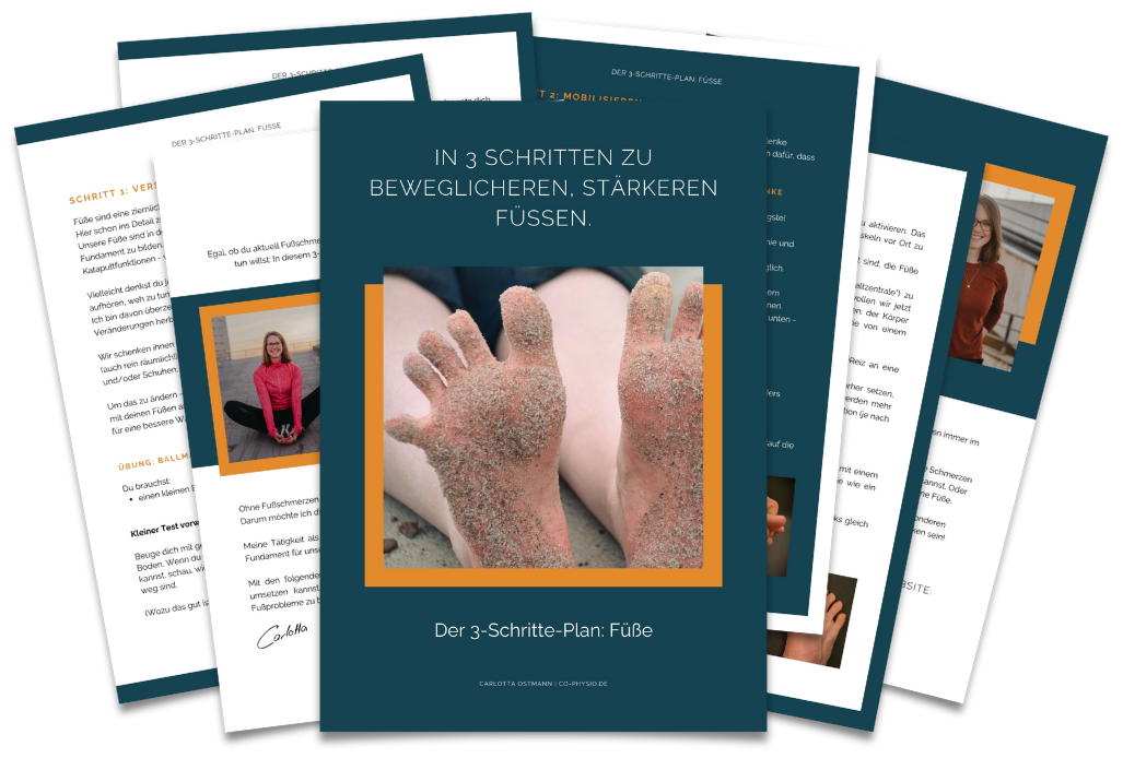 Ohne Muskeln keine Bewegung - co-physio