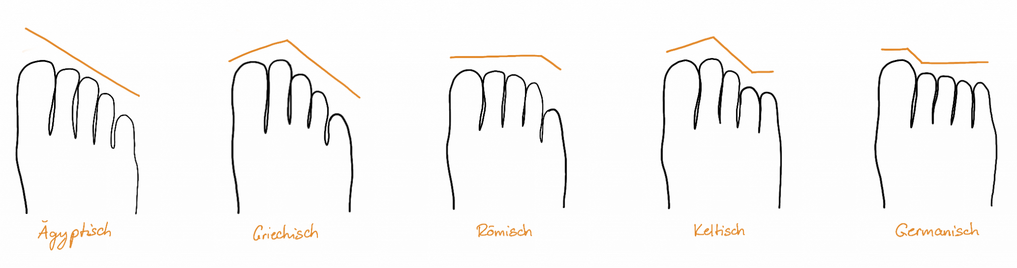 Fußformen - co-physio